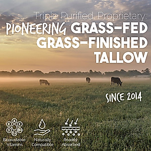 BALM OF GILEAD Tea Tree Balm - 2 fl oz Foot Cream with Tea Tree and Manuka Oil - Intensive Moisture for Itchy Feet, Eczema, Rashes & Dry Skin - Pure Balm That Softens Skin Irritations