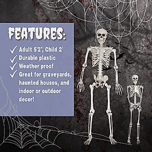 Life Size Skeleton Halloween Decoration Value 2 Pack -Adult (5' 2") & Child (2') Weather Resistant for Indoor/Outdoor - Upgrade Your Fall Graveyard Haunted House Party Props, School Classroom Decor
