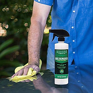 Absolutely Clean CarMagic Bug Remover - Heavy Duty Cleaner | Instant Bug & Grime Remover | Perfect for Cars, Trucks, Motorcycles, Boat | USA Made (16oz Spray Bottle)