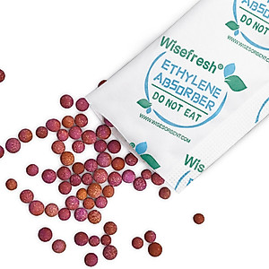 Wisesorb 20PCS 10 Gram Ethylene Gas Absorber Packet, Vegetable & Fruit Fresh Produce Protector, Food Freshness Extender, Fresh Fruit Preserver, Vegetable Saver