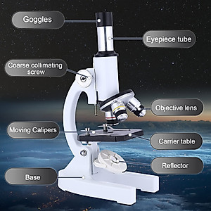Woehrsh Compound Monocular Microscope 200-2000X Magnification, Fill Light and Carrier Table Bio Microscope for Adults and Students, Includes Cell Phone Holder and Prepared Microscopes Slides…