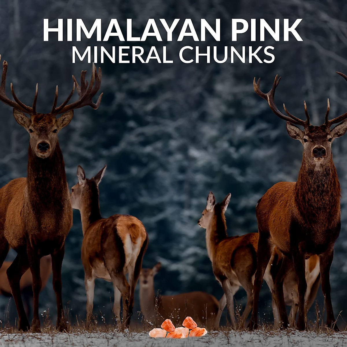 Himalayan Nature 100% Natural Solid Mineral Rock Salt - Salt Mineral Chunks animals