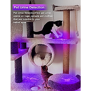 Fulighture Black Light Flashlight Mini, Small UV Black Light for Pet, Urine Detection for Dog Cat, Portable Ultraviolet Blacklight Flashlights 395nm, Resin Curing, Bed Bug, AAA Batteries Included
