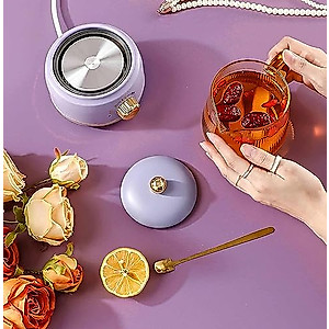 600ML Health Pot Household Multifunctional Glass Kettle Electric Tea Pot Hot Water Dispensers Electric Kettle Flower Teapot Automatic Electric Stew Bird's Nest Pot Stainless Steel B,600ML (Color : B
