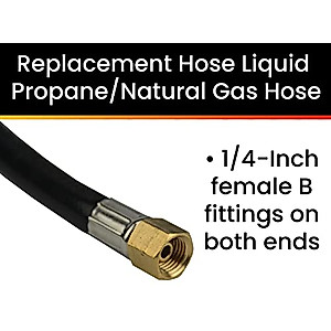 Hot Max 24212 Replacement Hose Liquid Propane/Natural Gas Hose with 350 Psi Rating, 10'