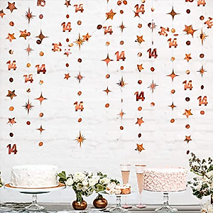 52Ft Rose Gold 14th Birthday Decorations Number 14 Circle Dot Star Garland Metallic Hanging Streamer Banner Backdrop for Girls Happy 14 Year Old Fabulous Birthday Fourteen Anniversary Party Supplies
