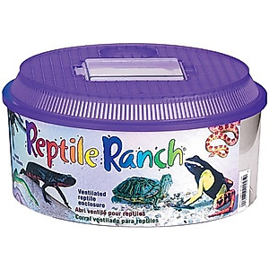 Lee's Reptile Ranch, Round w/Lid