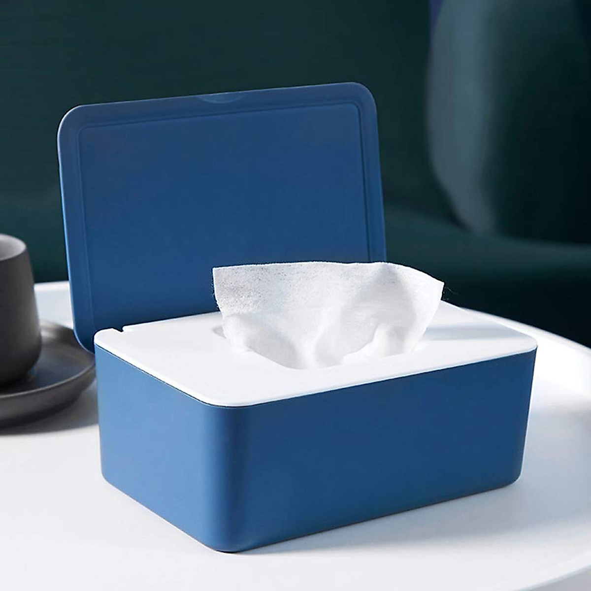 Brianer Wet Wipes Dispenser, Dry Wet Tissue Paper Case Dustproof Tissue Storage Box Case, Dispenser Holder with Lid for Home Office Desk (Blue White)