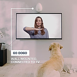 Go Dogo Game and Fireworks Training for Dogs | Interactive Food Puzzle & Enrichment Activity | Sound Desensitization | App Available for iPhone/iPad | Become a Tester for Fireworks Training