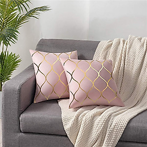 DEZENE Gold Velvet Throw Pillow Covers: 2 Pack 18x18 Inch Square Decorative Pillow Cases for Bedroom Sofa Couch Living Room, Pink