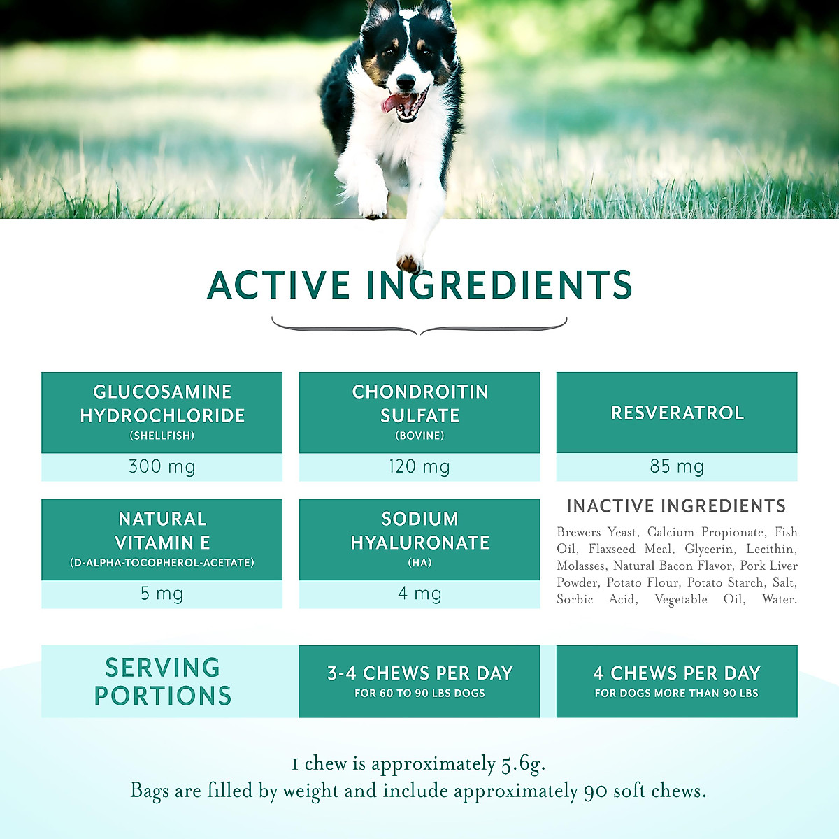 PetThrive Dog Hip and Joint Support Supplement Soft Chews with Resveratrol, Glucosamine, Chondroitin, Hyaluronic Acid, Bacon Flavor, Large Breed