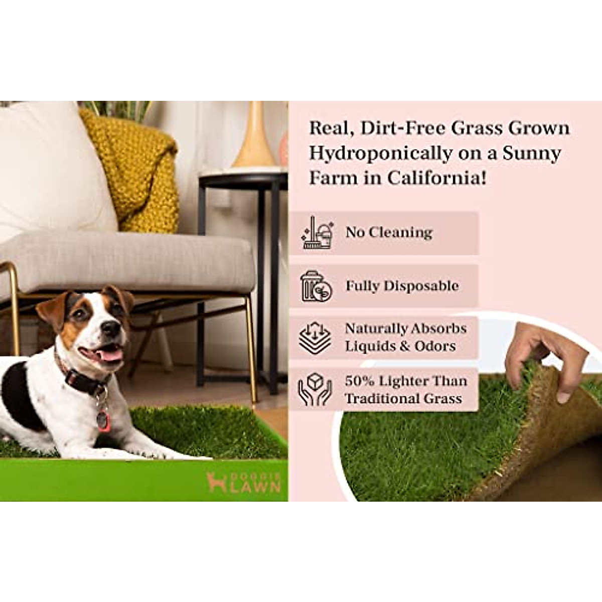 DoggieLawn Real Grass Puppy Pee Pads- 24 x 20 Inches - Perfect Indoor Litter Box for Dogs - No Mess, Easy-to-Use - Potty Training for Pets - Eco-Friendly Disposable Bathroom with Real Living Grass