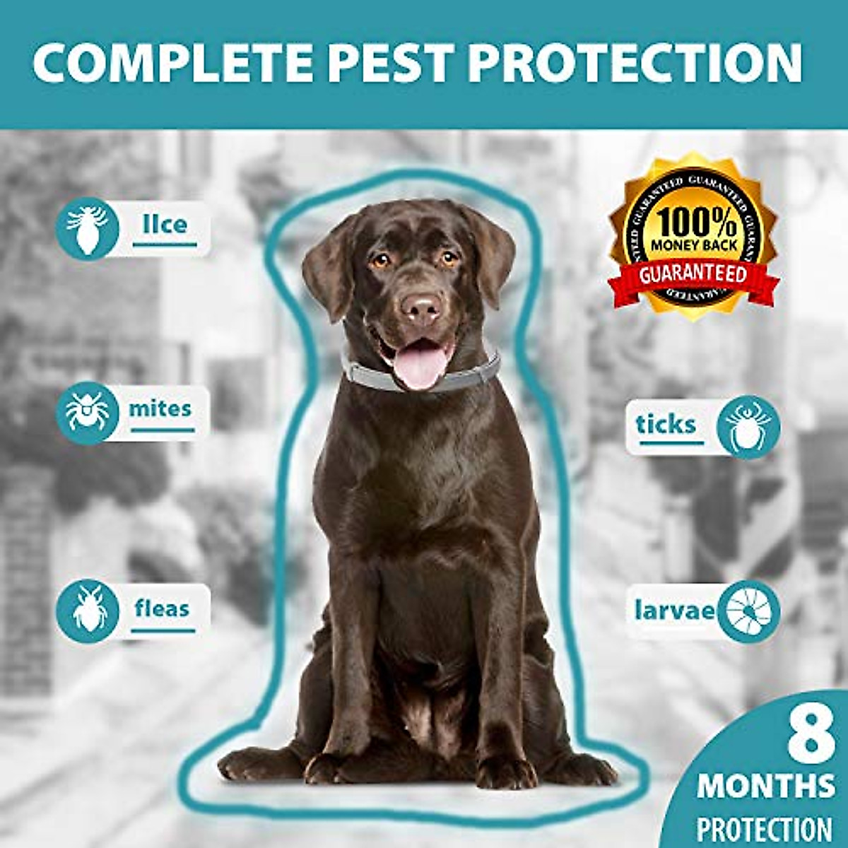 Flea and Tick Collar for Dogs,Flea and Tick Treatment and Prevention for Dogs up to 8 Month,One Size Fits All,100% Natural Ingredients, Waterproof,Include Tick Removal Tools,2 Pack