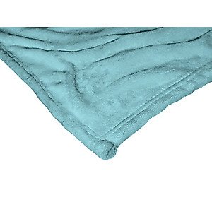 Northwest Little Mermaid/Ariel Silk Touch Throw Blanket, 50" x 60", Curious and Kind