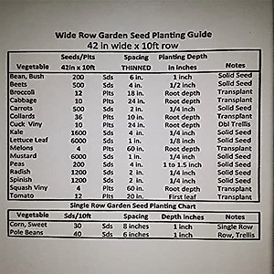 PAPAW'S GARDEN SUPPLY LLC. HELPING THE NEXT GENERATION GROW! Tall Wando Bush Pea Seeds, Non-GMO, 1 Pack of 200 Vegetable Seeds