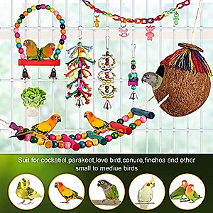 Bird Toys 17 Pcs Bird Parakeet Swing Chewing Hanging Toys Climbing Ladder Coconut Bird Cage Toys Suitable for Cockatiels,Conures,Finches,Budgie,Love Birds