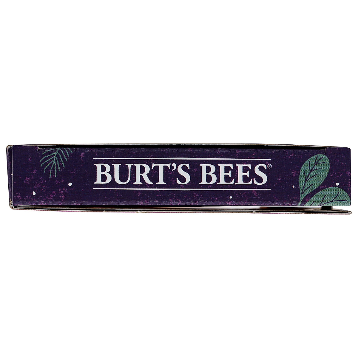 Burts Bees Fruit Beeswax Bounty Gift Set, 1 EA