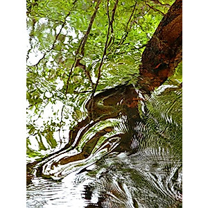 Posterazzi Abstract 23 Massachusetts Seekonk Caratunk Wildlife Refuge Ripples And Reflections On Water Surface. Poster Print, (12 x 16)