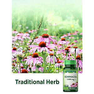 Echinacea Extract Capsules | 1300mg | 100 Count | Non-GMO & Gluten Free | by Nature's Truth