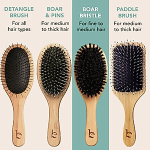 Boar Bristle Hair Brush - Smoothing Hair Brush for Men, Women & Kids, Soft Bristle Hair Brush, Bamboo and 100% Boar Bristles, Soft Brush for Hair, Gentle on Scalp
