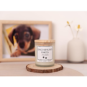 Dachshund Gifts, Dachshund Gifts for Women, Dachshund Decor, Weiner Dog Gifts for Women, Dachshund Candle, Weiner Dog Stuff, Weenie Dog Gifts, Wiener Dog Gifts, Weiner Dog Gifts