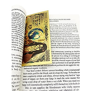 YJacuing Anime Dr. Stone Gold Coated Banknote, Limited Edition Collectible Bill Bookmark (5 PCS Collection)