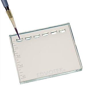 DNA DuraGel, for 12 to 24 Students