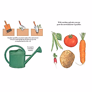 Vegetables (My First Discovery Paperbacks)