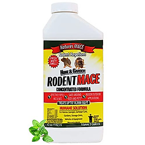 Nature’s MACE Rodent Repellent 40oz Concentrate/Covers 16,800 Sq. Ft. / Repel Mice & Rats/Keep mice, Rats & Rodents Out of Home, Garage, attic, and Crawl Space/Safe to use Around Children & Pets