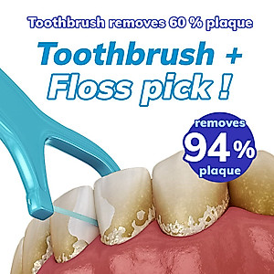 Toothnote Portable Dental Floss Picks, Tooth Picks, Eco-Friendly High Toughness Biodegradable Floss Sticks - Individual Package for Daily, Travel, Camping, School - Mint Flavor 1Box (45pcs)