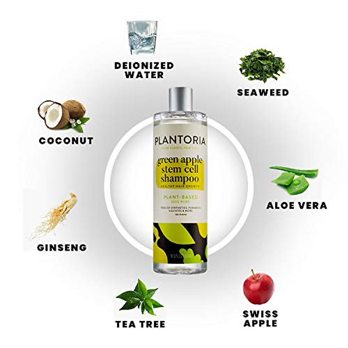 Plantoria Green Apple Stem Cell Shampoo | Plant Based Pure Vegan Organic Hair Growth Shampoo for Women, Men, Teens, Kids | Natural Hair Shampoo With Seaweed, Aloe Vera, Swiss Apple, Tea Tree & More