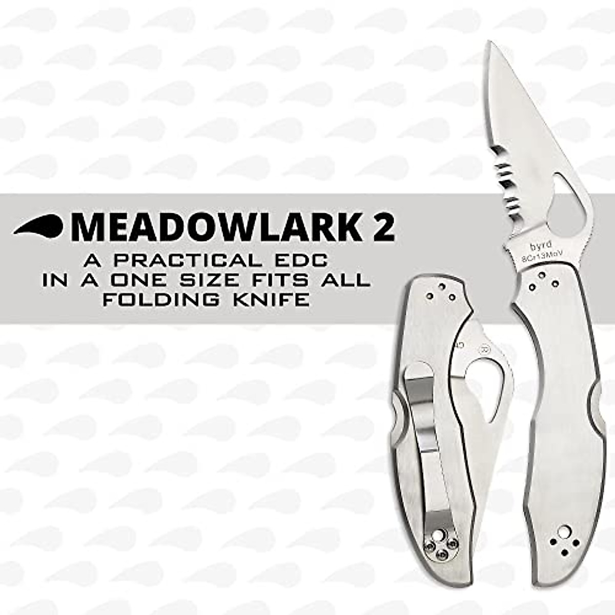 Spyderco Byrd Meadowlark 2 Knife with 2.90" Steel Blade and Durable Stainless Steel Handle - CombinationEdge - BY04PS2