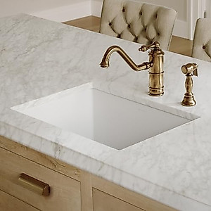 Whitehaus Collection Undermount/Drop-in Fireclay Kitchen Sinks, Stainless Steel Grid Included