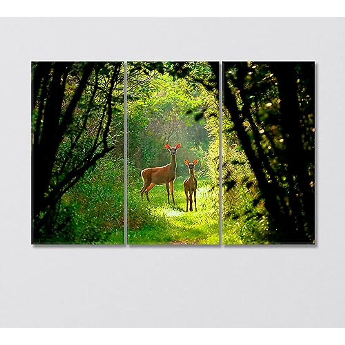White Tailed Deer with a Fawn in the Forest Canvas Print 1 Panel / 36x24 inches
