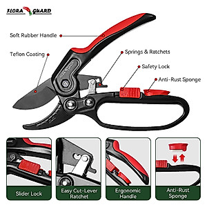 FLORA GUARD Garden Clippers, Professional Ratchet Pruning Shears, Increases Cutting Power 3x, Sharp Gardening Scissors, Cutting Rose, Flower, Hedge, Stem, Tree, Perfect for Weak Hands & Arthritis