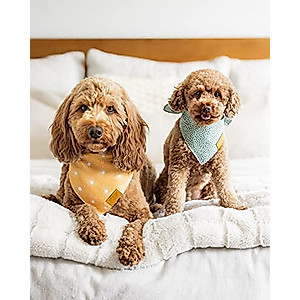 Remy+Roo Dog Bandanas - 4 Pack | Kathrine Set | Premium Durable Fabric | Unique Shape | Adjustable Fit | Multiple Sizes Offered (Large)
