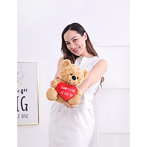 CHOIEO 10" Shawty U Fine Teddy Bear with Heart, Brown Plush Stuffed Animal Teddy Bear, Best Gifts for Girlfriend, Wife, Women, for Valentines Day, Birthday (Brown)