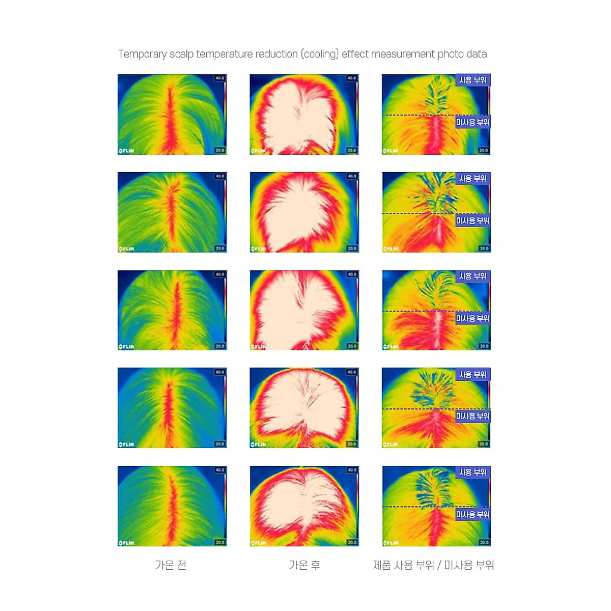 New TS Cool Shampoo for Scalp and Hair (16.9 Fl Oz) | Therapy Shampoo | Mint Scent with Essential Oil & Natural Ingredients | Parabens free | Anti- Dandruff & Cooling Shampoo| Made in Korea