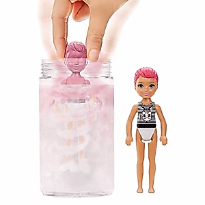 Barbie Color Reveal Chelsea Doll with 6 Surprises: 4 Mystery Bags Contain Hair Piece, Skirt, Shoes & Accs.; Water Reveals Doll’s Look & Color Change on Bodice; Color-Block Series [Styles May Vary]