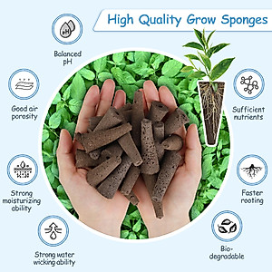 GoorDik 100 Pack Grow Sponges, Replacement Root Growth Sponges Seed Pods Compatible with AeroGarden, Seed Starter Sponges Kit with 10 Plant Labels and 1 Tweezers for Hydroponic Indoor Garden System