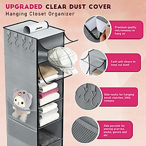DOIOWN Hanging Closet Organizer and Storage: Upgraded 10 Shelf Closet Hanging Organizer with Clear Cover,Hanging Closet Shelves,Hanging Shelves for Closet