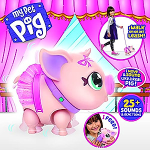 Little Live Pets- My Pet Pig: 'Piggi Bella'