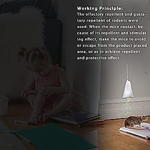 4 Pack Mouse Repellent Mice Repellent, Peppermint Oil to Repel Mice and Rats, Rat Rodent Repellent Pest Insect Control