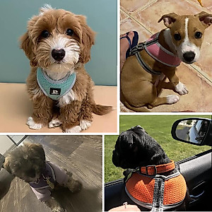 Puppy Harness and Leash Set- XS and Small Dog Harness- Soft Mesh Halter- Adjustable Reflective Teacup Dog Harness- No Pull No Choke (XS, Pink)