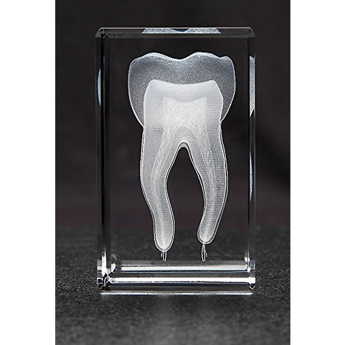 Anatomy Crystal (Tooth, 1 Pound)