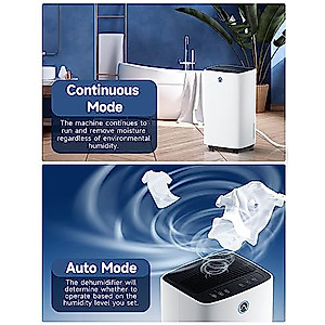 Dehumidifier for Home and Basement for 2000Sq.Ft, 25 Pints Dehumidifiers for bathroom, Large Room, Water Tank Capacity with Drain Hose, Intelligent Humidity Control, Childlock, Laundry Dry