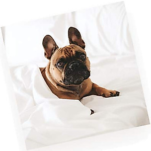 PeachSkinSheets Classic White Sheet Set - 1500tc Level of Softness - Extra Soft Cooling Sheets for Hot Sleepers and Night Sweats - Regular King Size