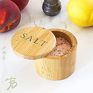 Totally Bamboo Salt Cellar Bamboo Storage Box with Magnetic Swivel Lid, 6 Ounce Capacity, "Salt" Engraved on Lid
