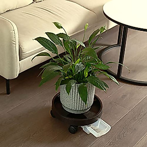 2 Pack Plant Caddy with Wheels 11 Inch Rolling Plant Stand Heavy Duty Plant Dolly with Casters Planter Pot Mover Round Plant Roller Base for Indoor Patio Outdoor Large Trash Can Dolly, Brown