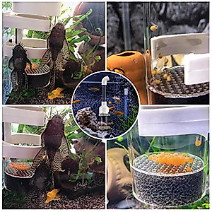 Fish Egg Incubator Tumbler Aquarium Cichlids Fish Hatchery with Aquarium air Pump，Isolation Fish Breeding Box, Small Fish net and Small Aquarium tweezer